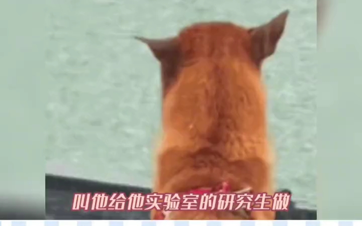 The Best Way to Separate Them - BiliBili