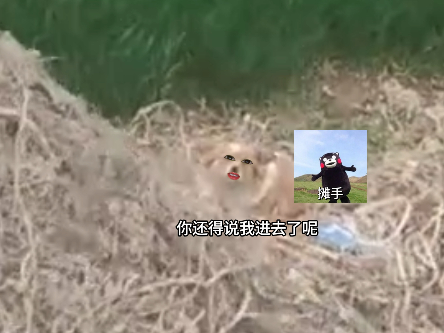 Doggy: You’re pretty disappointed, huh? - BiliBili