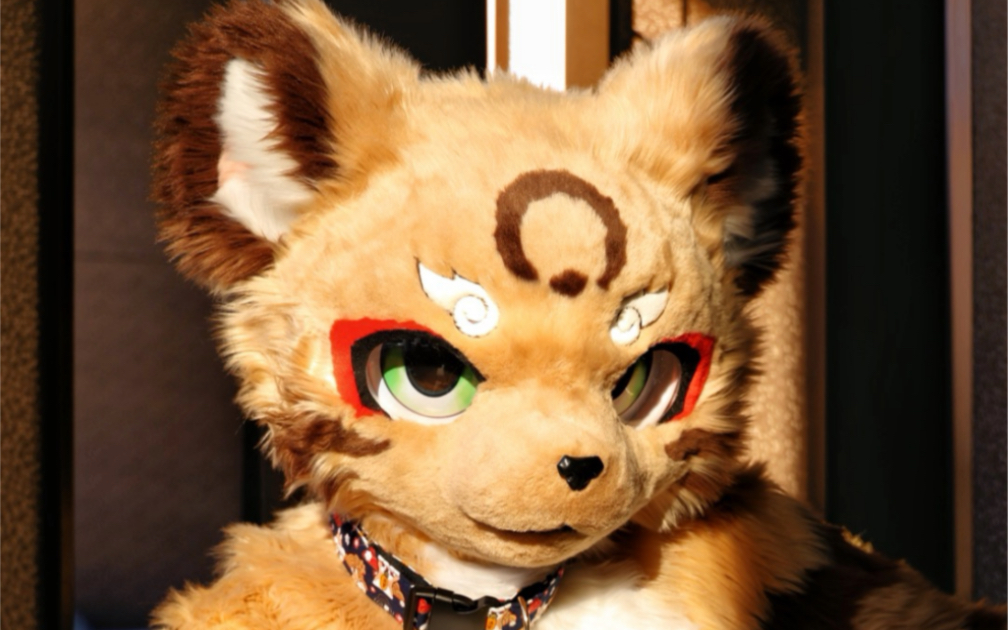 Beware of Furry Enthusiasts! - BiliBili