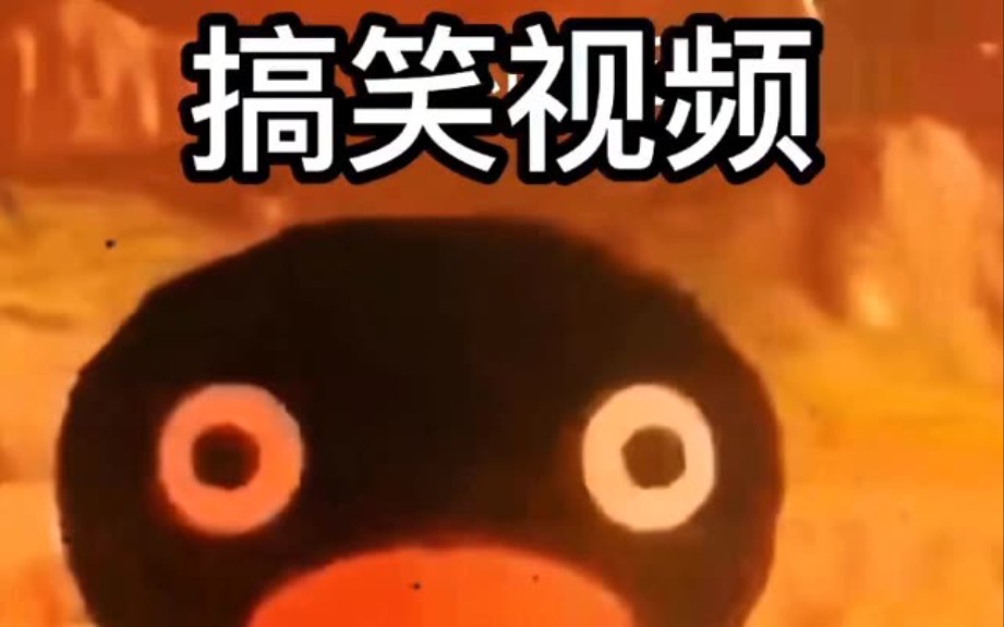 Which is better: the old Q Coin Brother or the current Q Coin Brother ...