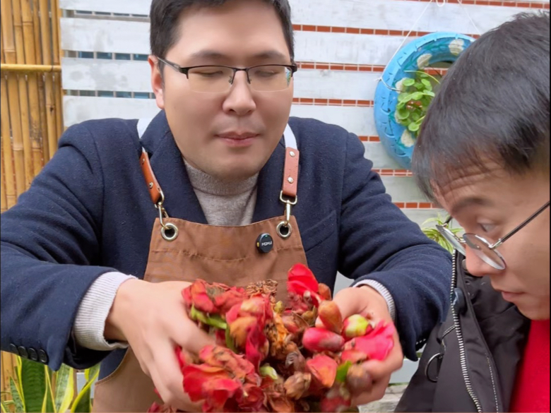 The Right Way to Handle Camellias That Won’t Grow or Bloom - BiliBili