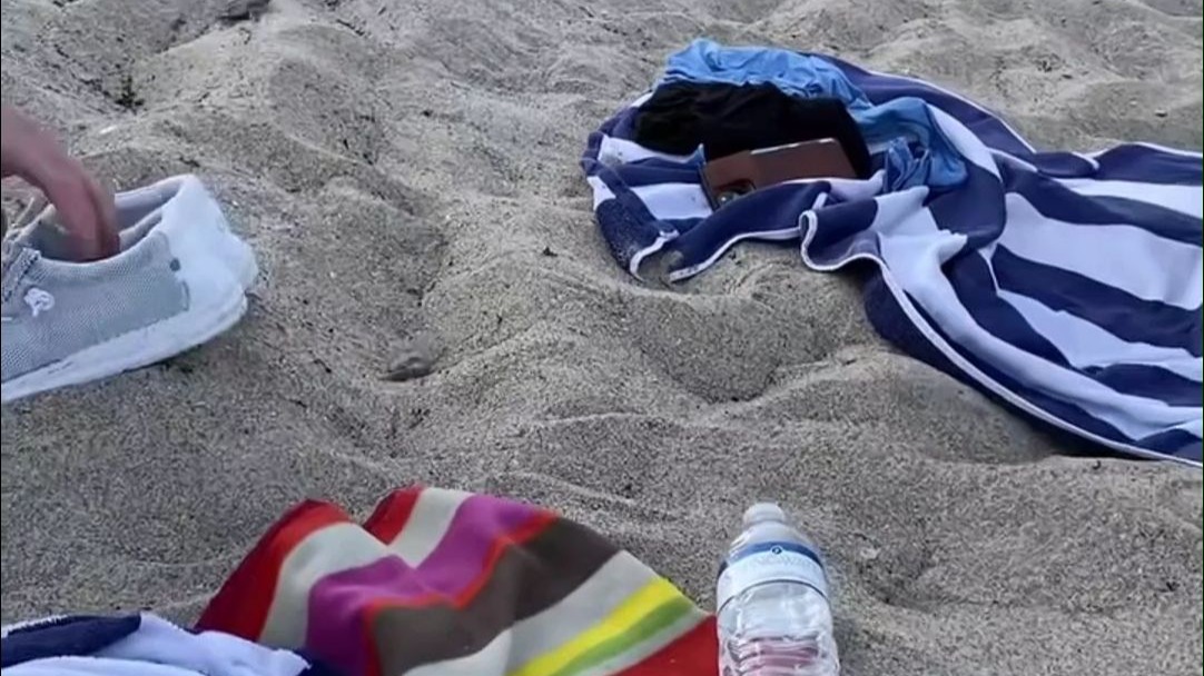 When you’re on a beach vacation and stumble upon a swarm of newly ...