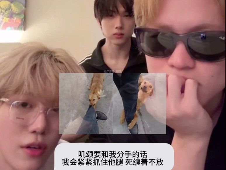 [Chinese Subtitles] Xizhenni: “Park Ji-sung broke up with me, so he’ll ...