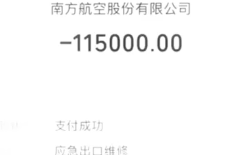 This flight is a bit pricey. - BiliBili