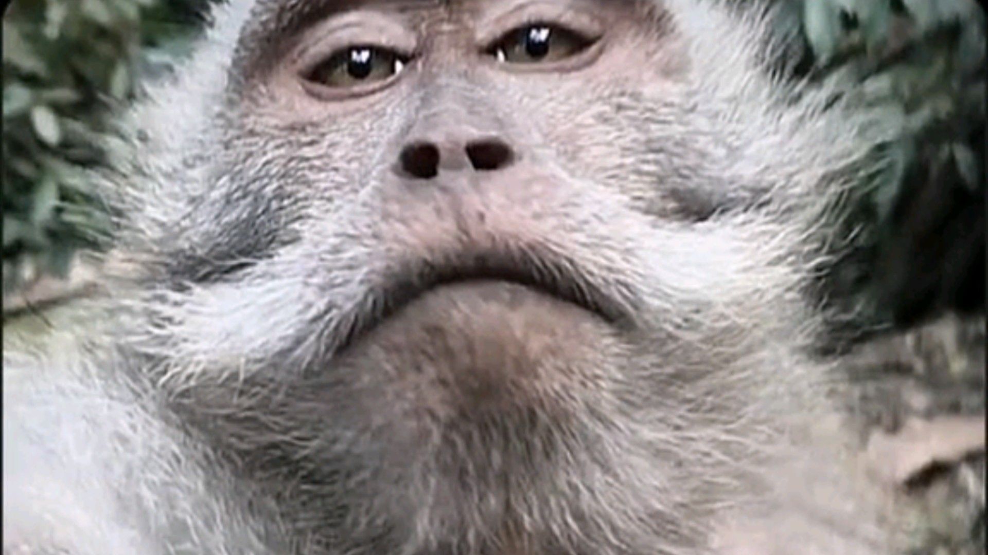 cowok ketika ngaca - BiliBili