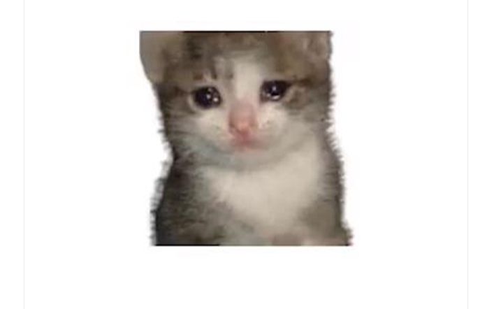 Croissant Cat, but with Snail Noodles 🍜 - BiliBili