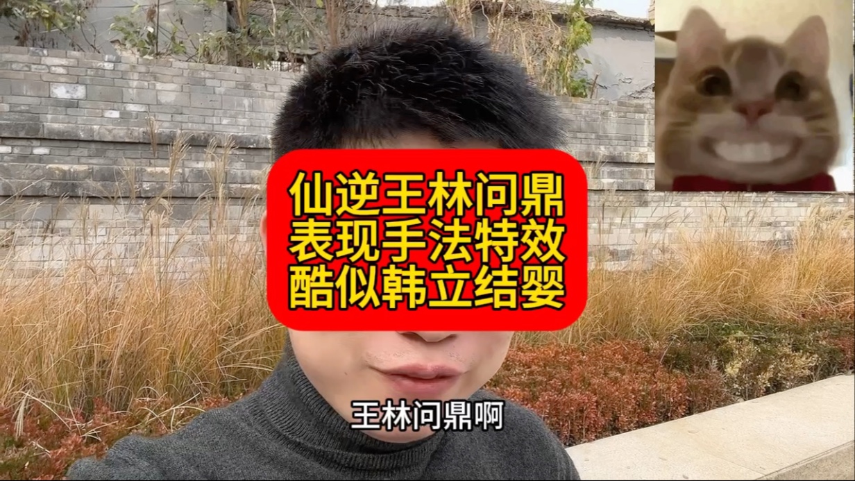 Xian Ni’s Wang Lin Reaches the Peak—Does His Technique Resemble Han Li ...