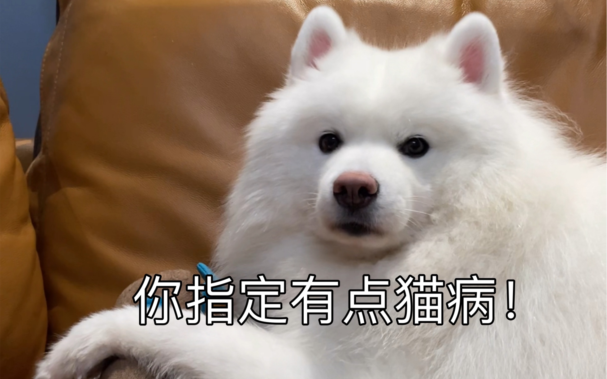 If I’d known you loved playing so much, I wouldn’t have called you by ...