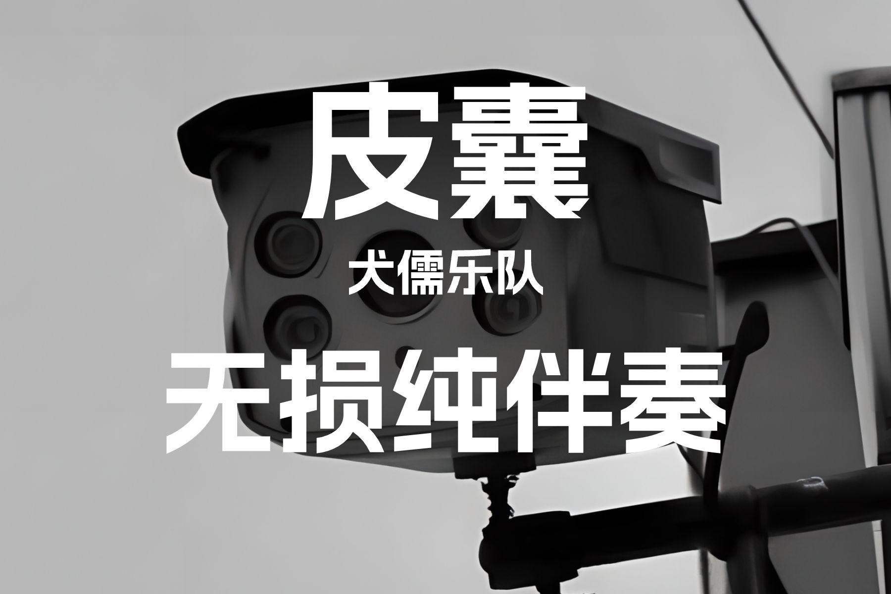 Cynical Band’s “Pigskin” with Vocals Removed [Lossless Audio] - BiliBili