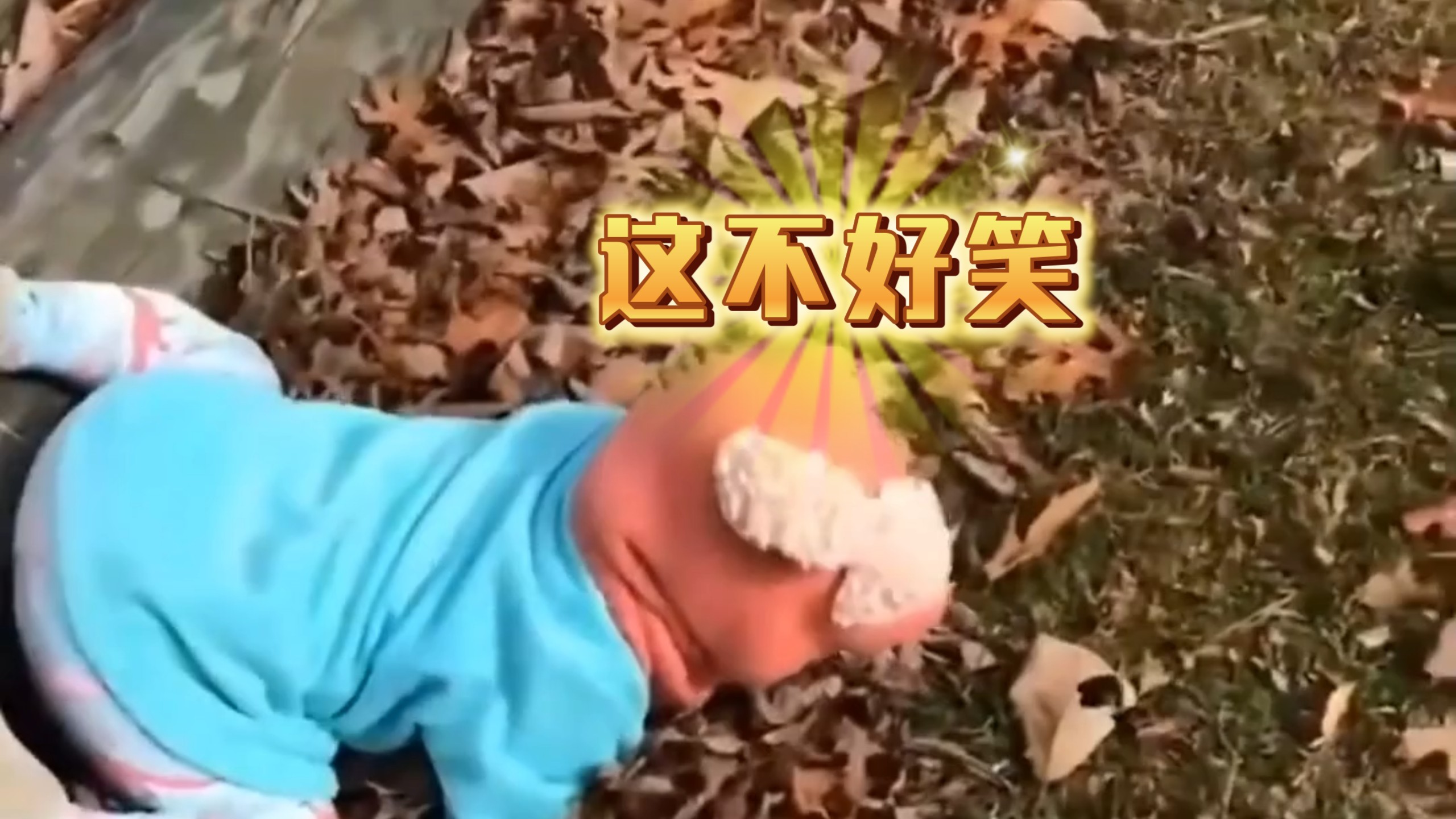 Foreign Parent-Child Dialogue “That’s Not Funny”… - BiliBili