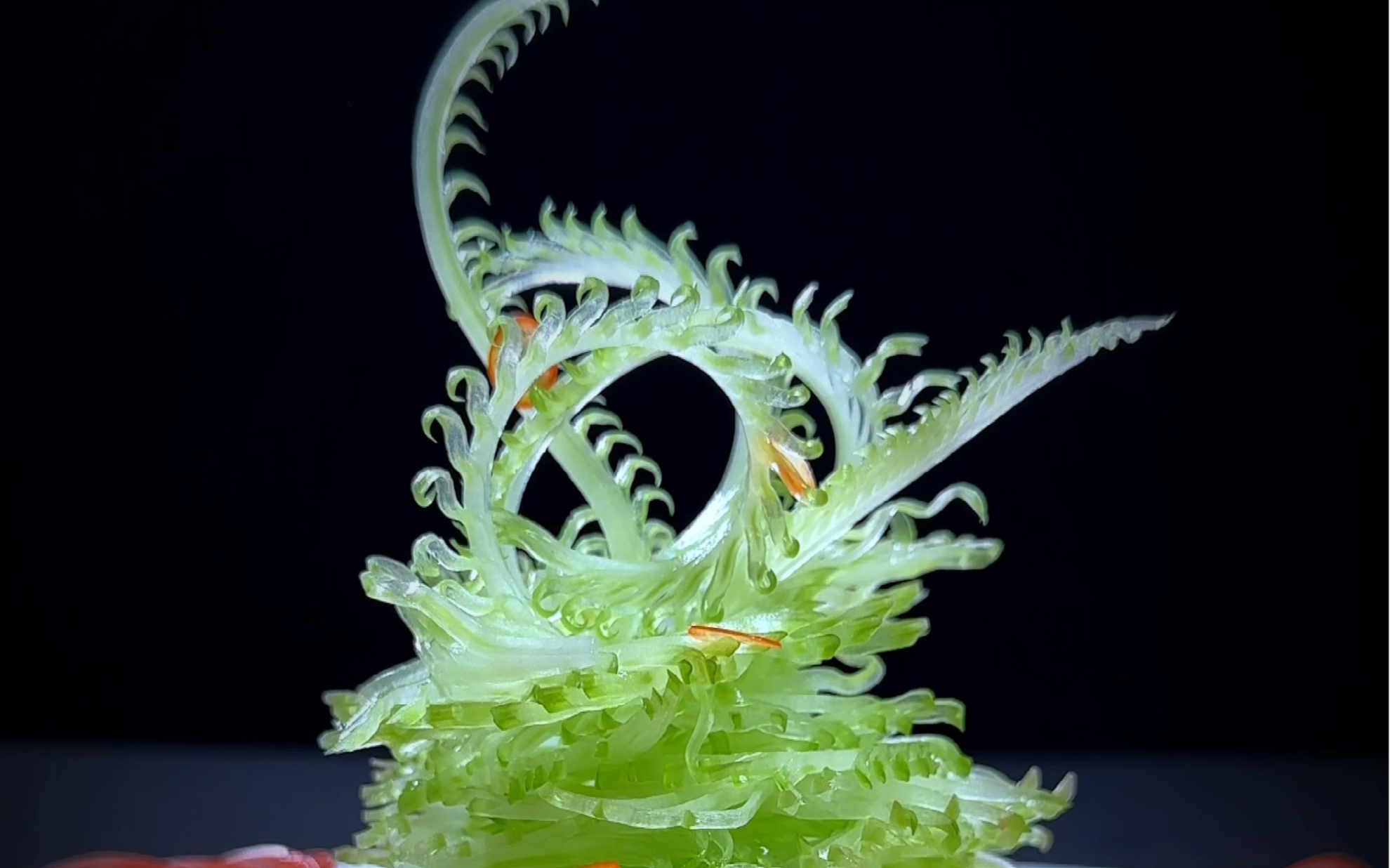 Pakai seledri biar makanannya terlihat mewah #RasakanMomenMakan # ...