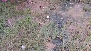 second spar🥰,Boston Roundhead vs McLean hatch x unknown - BiliBili