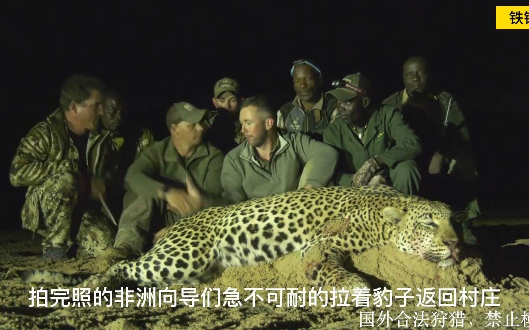 African leopard wanders into village and injures people, but villagers ...