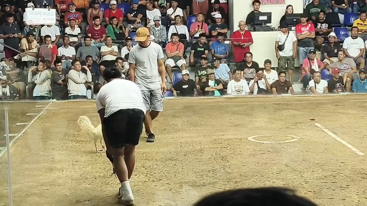 Firebird Angels vs Miller Time!!! - BiliBili