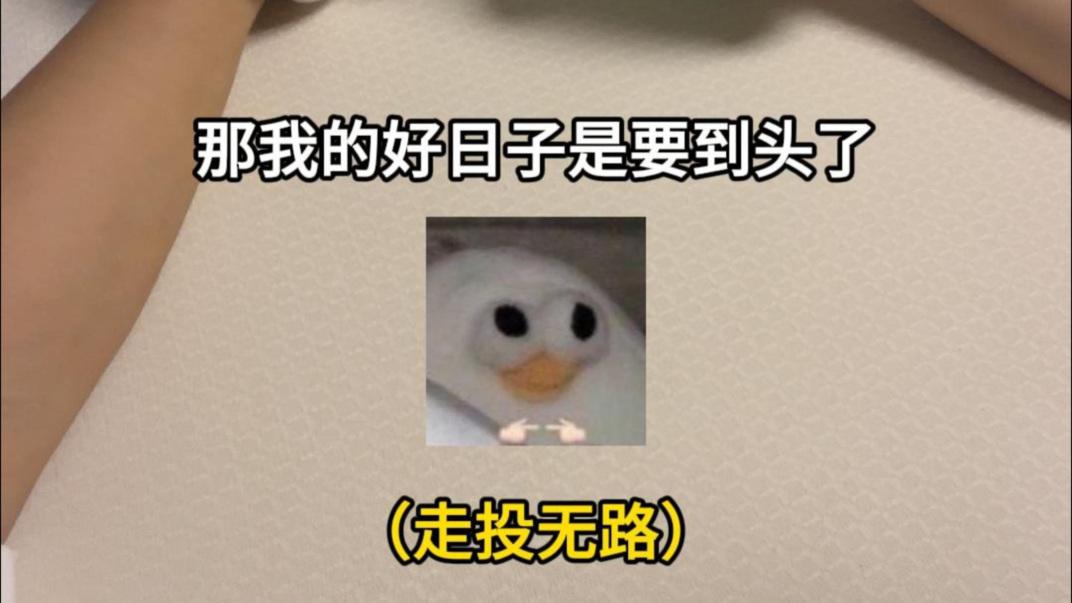 When My Girlfriend Wants to Register Our Marriage… - BiliBili