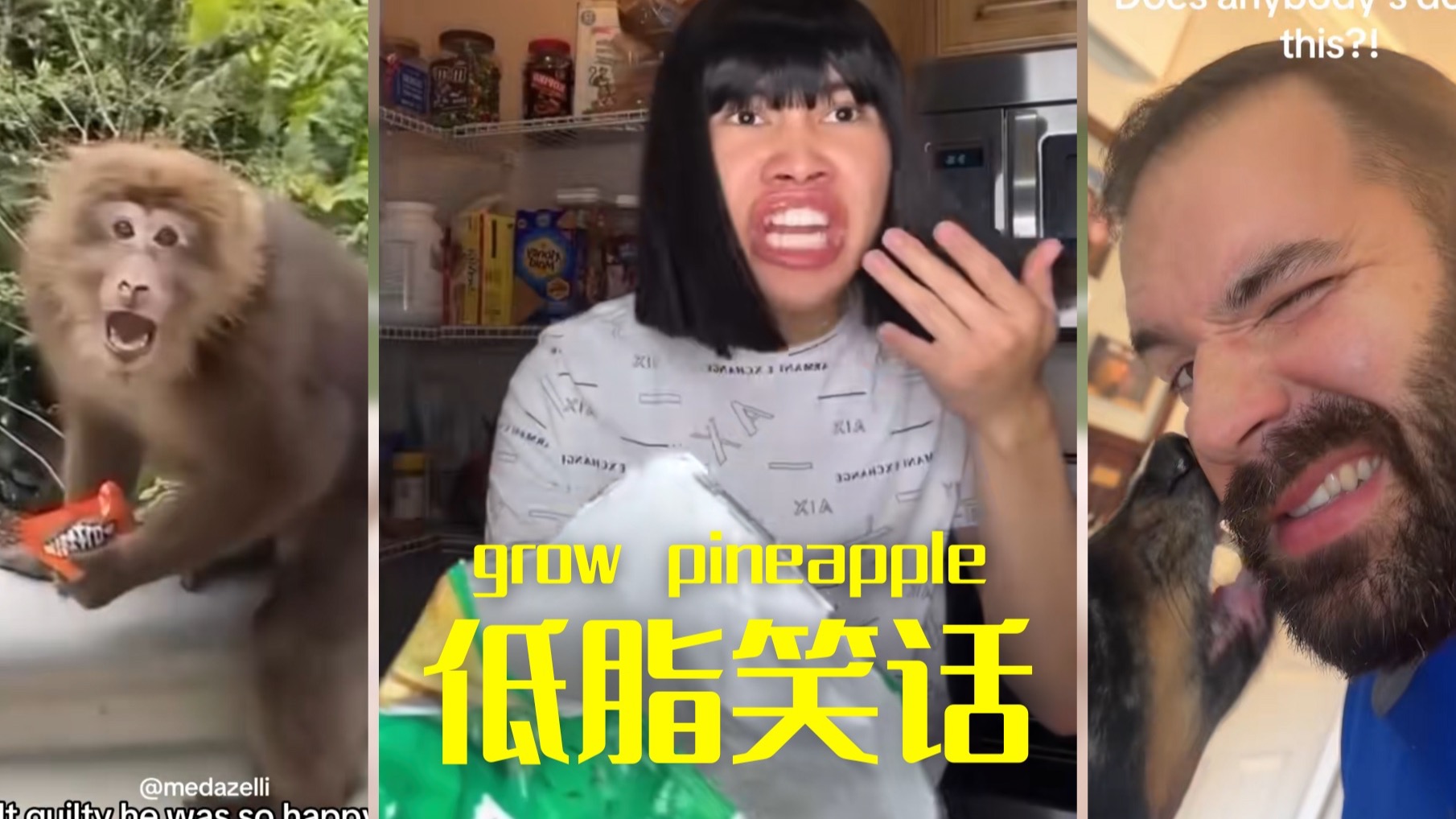 Low-Fat Jokes PT012 - BiliBili