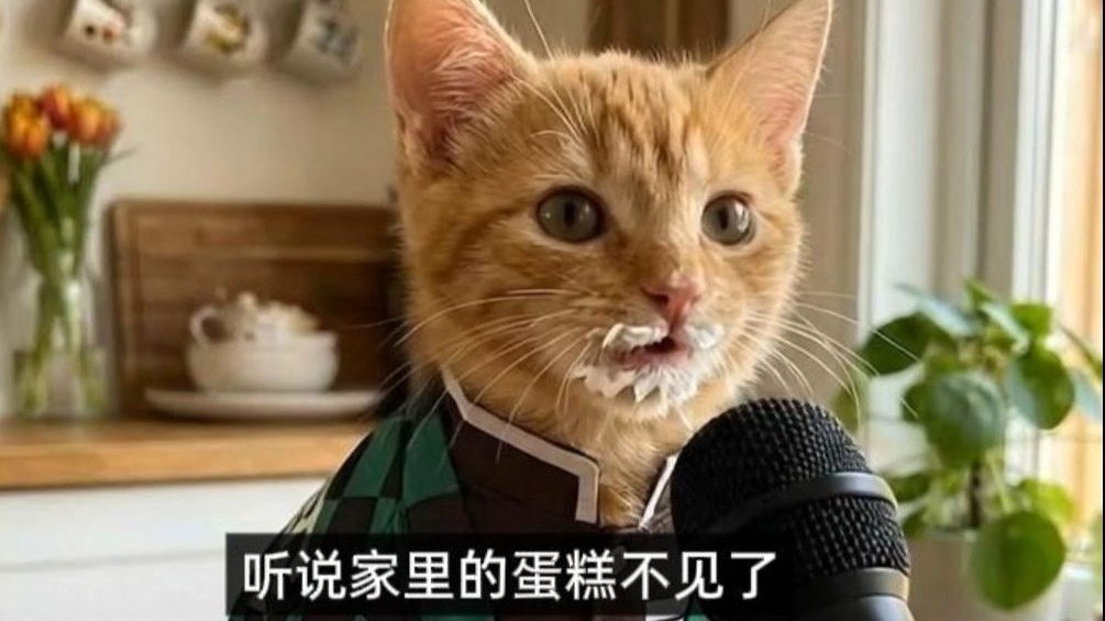 The cake at home is missing—any idea what happened? - BiliBili