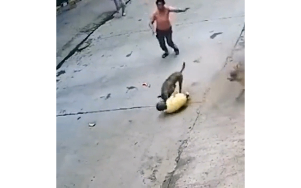 Traitor! Don’t lay a hand on my lord! - BiliBili